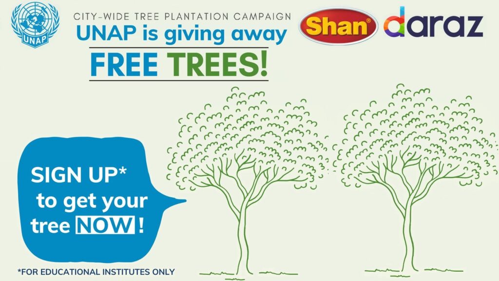 Tree Plantation Campaign – UNAP